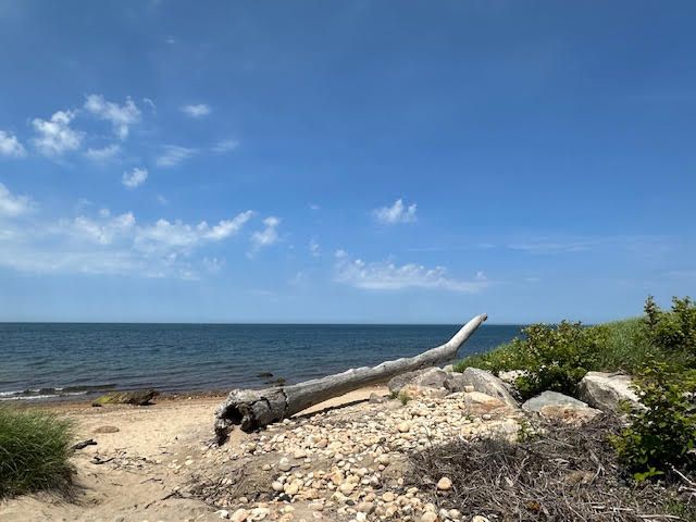 View Property | Mary Stover & Nancy Pike | Block Island Mary-Principal ...