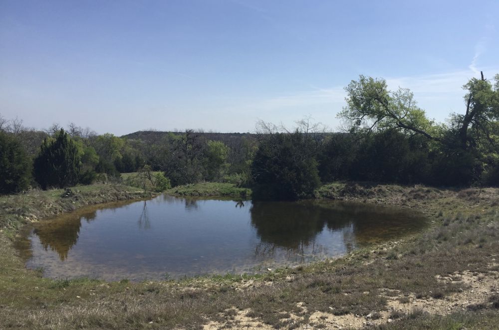 View Property 287 CR 2722, Lometa, TX 76853 | Mike Williams ...